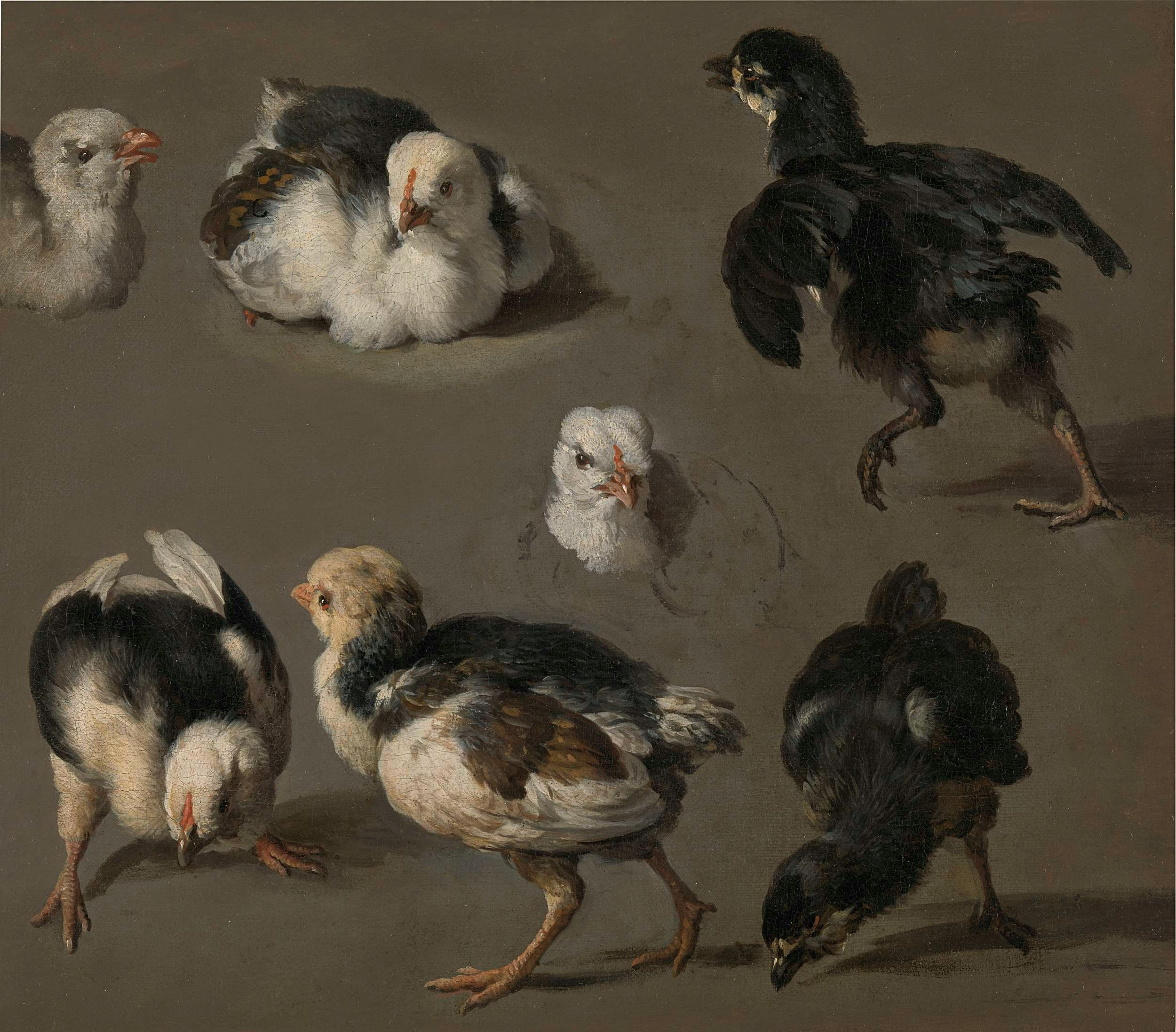 Cynthia Schuck-Paim on Quantifying Animal Welfare - Hear This Idea